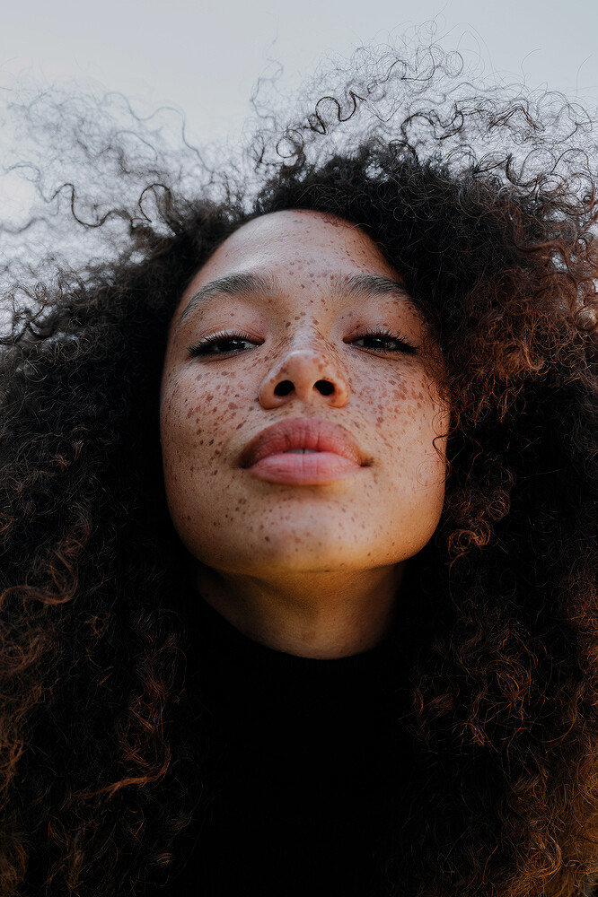 Artists — Laird and Good Company