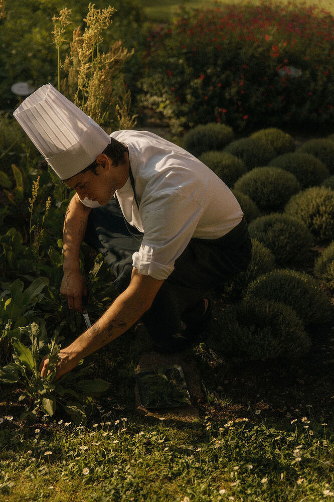 Maureen M. Evans — Laird and Good Company