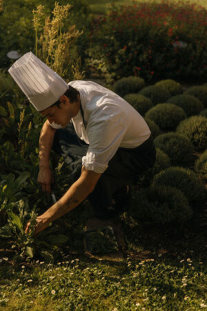 Maureen M. Evans — Laird and Good Company