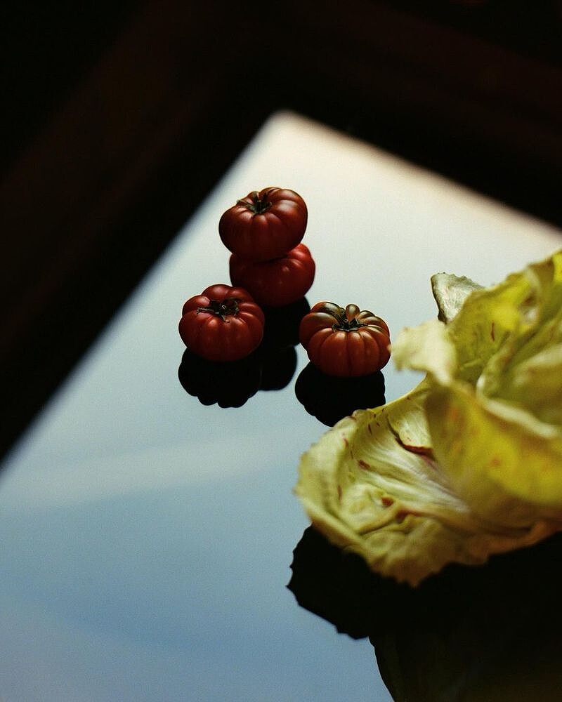 Maureen M. Evans — Laird and Good Company