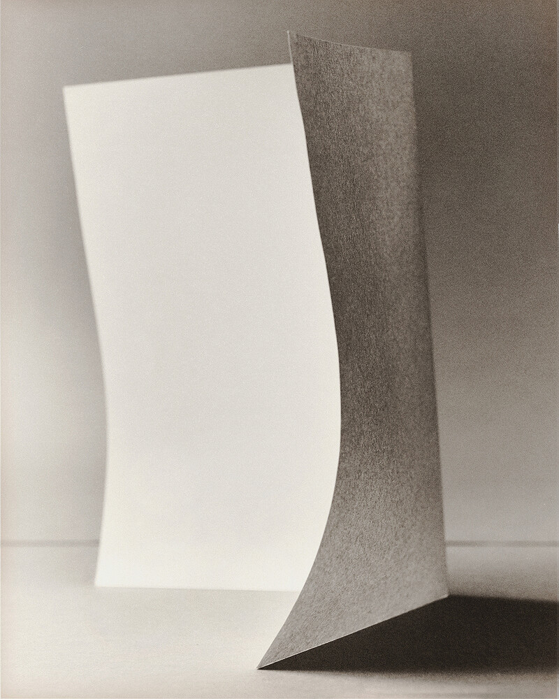 Lara Angelil — Laird and Good Company