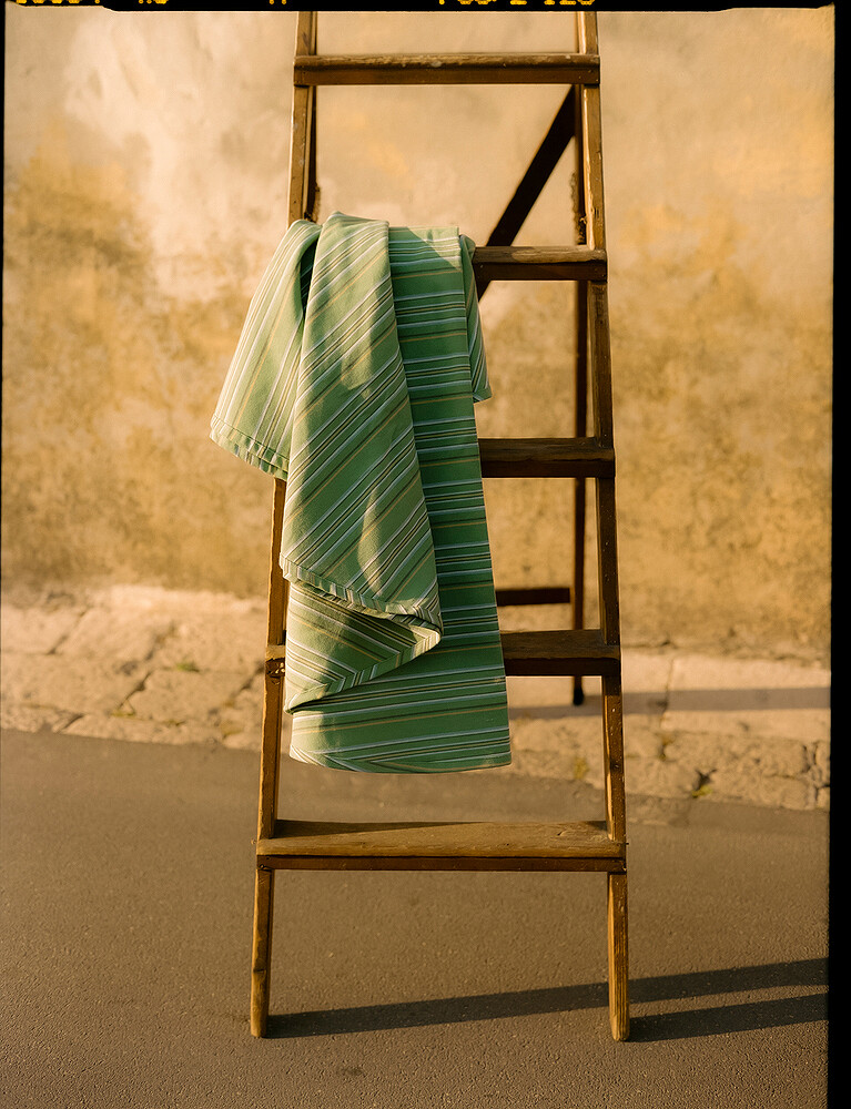 Maureen M. Evans — Laird and Good Company